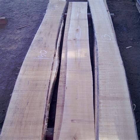Beech Sawn Timber Timberlink
