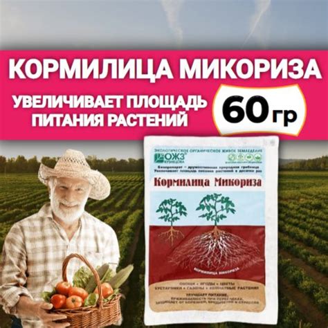 Кормилица Микориза для корней универсальная. 60 гр. Уникальный ...