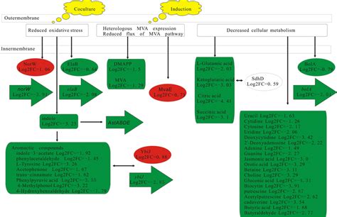 Correlation Analysis Of Differential Transcriptome Proteome And