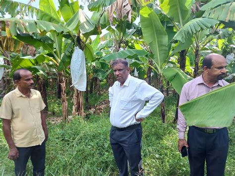 Field Visits