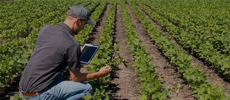 Seed Technology Tozer Seeds