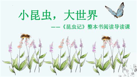 第五单元名著导读《昆虫记》课件（共53张ppt）统编版语文八年级上册 21世纪教育网