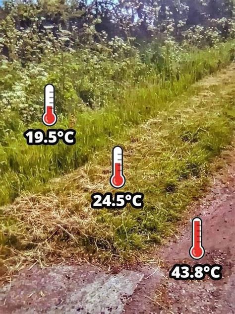 Grass Is Cool Consumers Association Penang