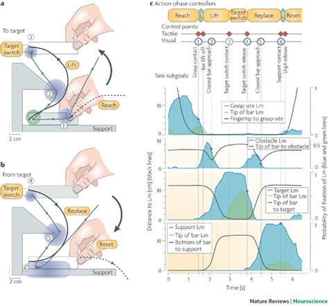 Github Tom Renawesometactile Reviews Projects Hardwares And Papers Collection Of Tactile