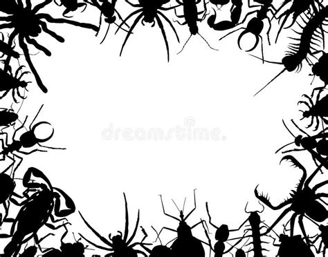 Bug Frame Free Stock Photos StockFreeImages