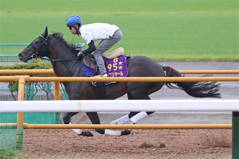 【札幌記念】シャフリヤールが2週前追い切り 陣営「ちょうどいいぐらい。来週からびしっとやります」 スポーツ報知
