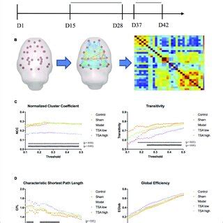 Nodal Measures Of Brain Functional Network Topology A Injection