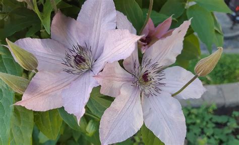 api gateway talks to dynamodb — using api and rest api by feng