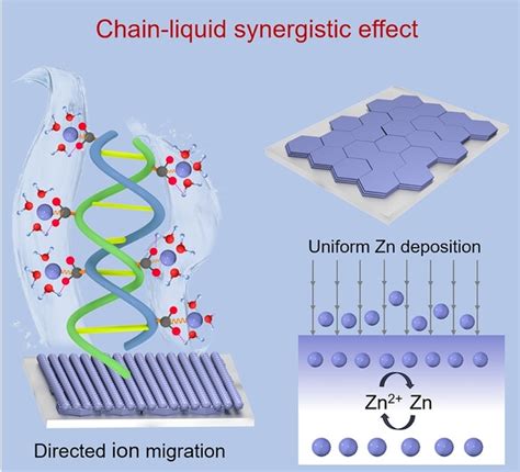 Improved Interfacial Ion Migration And Deposition Through The Chain‐liquid Synergistic Effect By