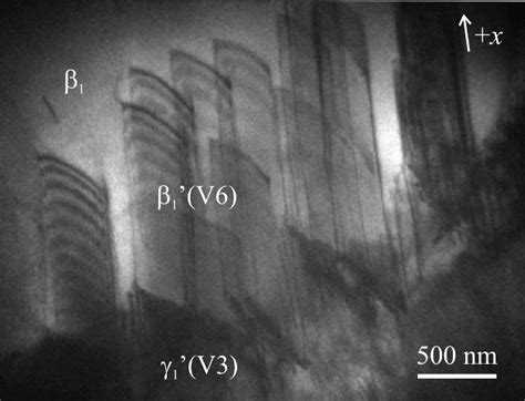 Transformation 1 1 The 1 V6 Variant Nucleated At An 1 Needle F 7 Download Scientific