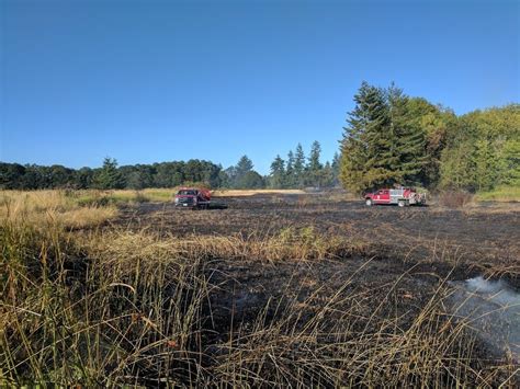 Firefighters Battle Large Brush Fire Along Sr 12 In Thurston County Komo