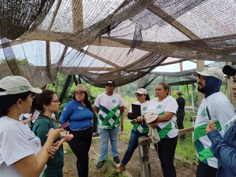 Alunos Dos Cursos Técnicos Em Fruticultura E Florestas Do Polo Manaus