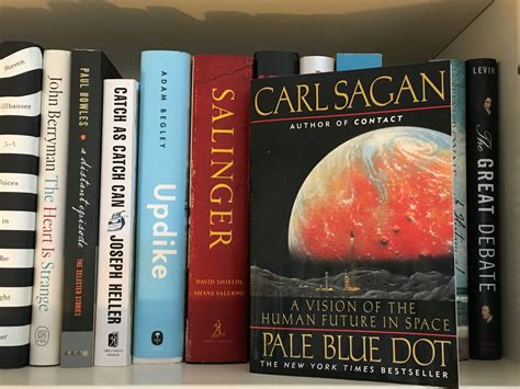 13 Fascinating Facts About Pale Blue Dot Carl Sagan