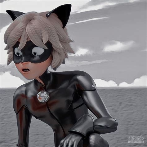 Miraculous Tales Of Ladybug And Cat Noir Chat Noir Matching Icons