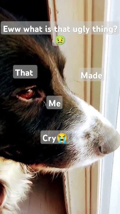 If You Think Its Cute😍🥰 Youtube