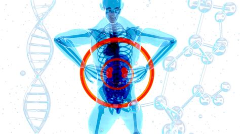 Urologie Clinique En Nahda