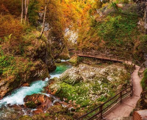 Premium Photo Vintgar Gorge Slovenia