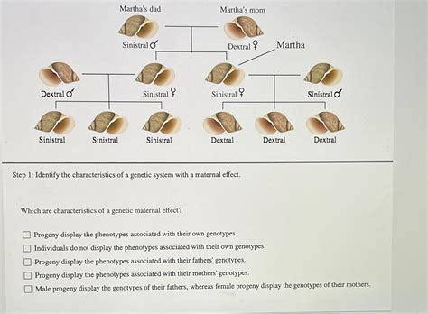 Solved Step 1 Identify The Characteristics Of A Genetic