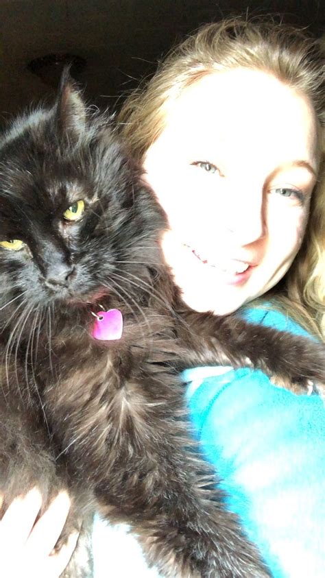 Pin By Bobson Dugnutt On Black Cat Love Cat Love Cats Kittens