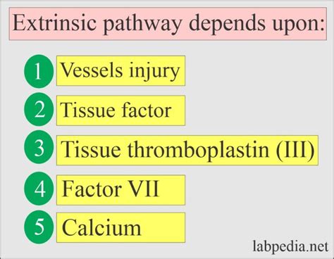 Coagulation Part 1 Blood Coagulation Process Coagulation Factors