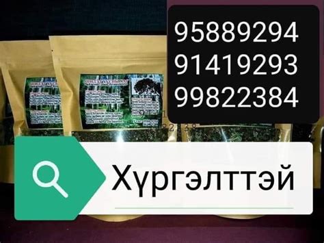 Цөс Нойр булчирхайн өвчинг анагаах нь Нойр булчирхай өвдсөн эмчилгээ хийлгэж байгаа