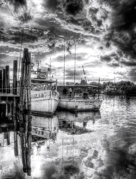 Photographic Art Society Member Sherry Williamson The Photographic