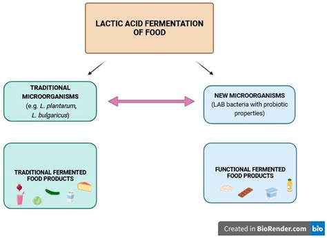 Fermentation | Free Full-Text | Traditional and New Microorganisms in Lactic Acid Fermentation ...