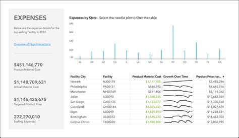 Tricks For Sas Visual Analytics Report Builders Step 4 Consider The Layout