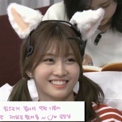 Pin De Momo Gf En Momo 🦝⊹˚ Mapache Favoritos