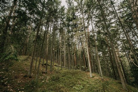 Gamtos Objektai Jono Arba Ievos Kalnas