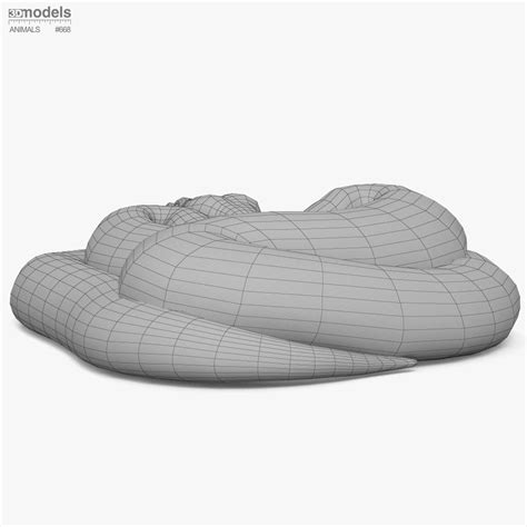 Green Tree Python 3d Model Download Reptile On