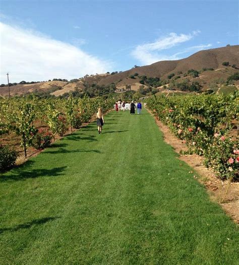 Kirigin Cellars Winery All You Should Know Before Going 2026 With
