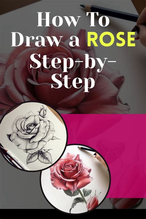 How To Draw A Rose The Ultimate Guide And 27 Beautiful Rose Drawing