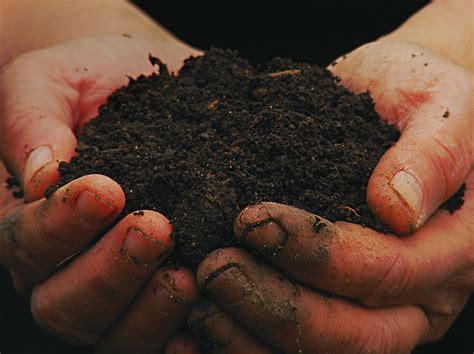 Ritsumeikan×sustainability Ritsumeikan University