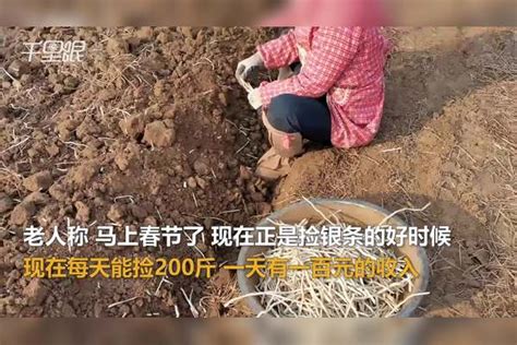 【河南】7旬老人跪地“土里刨金”日赚百元给孩子减轻负担，拍摄者称生活不易