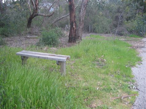 Surf Coast Nature Search