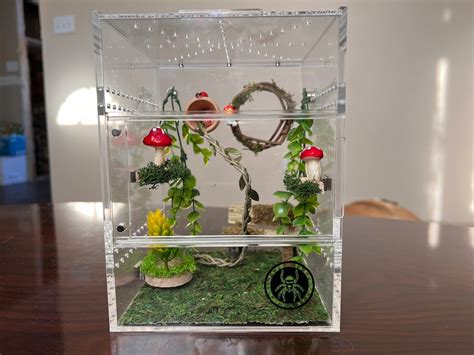 Modular Decorated Jumping Spider Enclosure Etsy