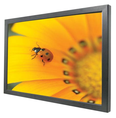 Chassis Display Xinc Technologies