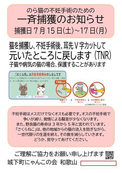 城下町にゃんこの会 和歌山 On Twitter さぁ やりますか 猫数約150匹の地区 よくここまで誰もかれも放置してきたもんだね