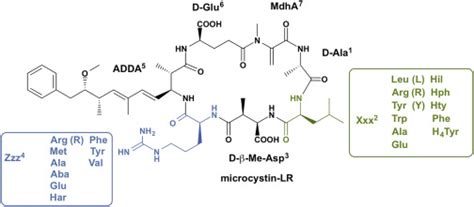 Biochemical Dissection Of The Natural Diversification Of Microcystin