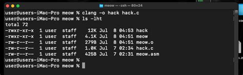 Macos Hacking Part 5 Shellcode Running Simple Nasm And C Intel