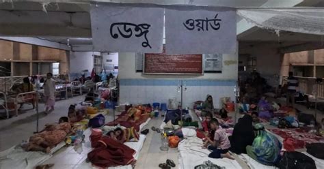 ডেঙ্গু রোগীর চাপে ঢাকার হাসপাতালে ‘শয্যা সংকট