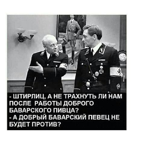 Мемы Про Штирлица - 20 фото