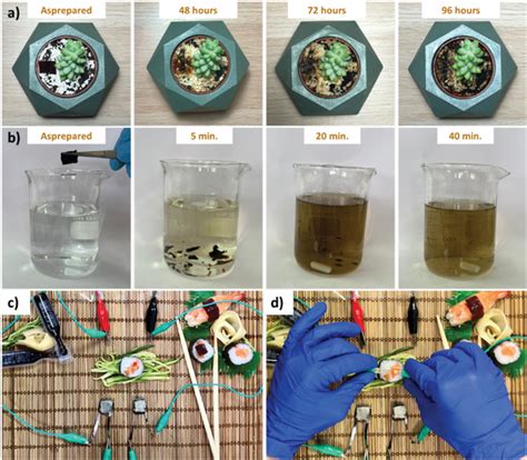 Photographs Showing The Dissolving Of A E‐sges On A Simple Soil That