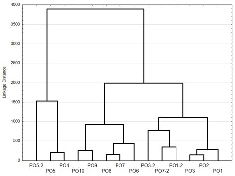 Cluster Analysis Of Investigated Samples Without Po Calculation Is