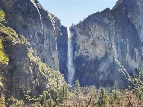 나무를 품은 숲 반사회적 인격의 형성에 대한 자기심리학적 이해 정상적인 발달에서 원시적인 전능성에 의해 지배된 과대