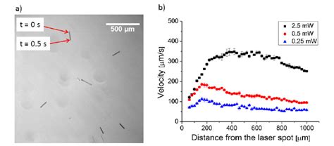 Flow Profile Characterization Using Particle Streak Velocimetry A Download Scientific Diagram