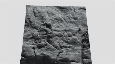 Potential Crinoids Fossils 3d Model By Marspics Belkessamamine
