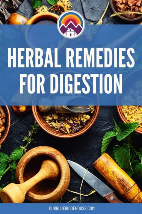 10 Best Herbal Remedies For Digestion And Natural Health Our Blue