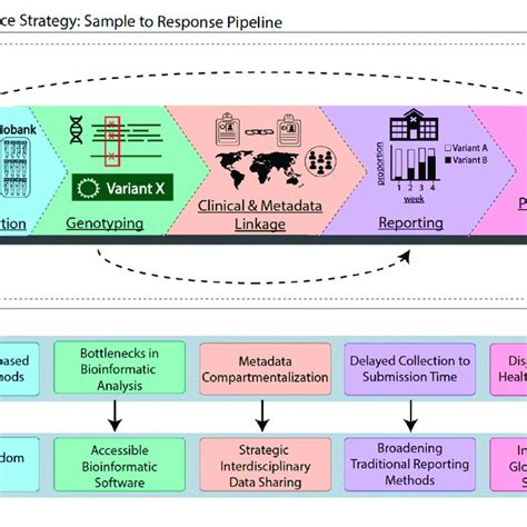 Molecular Surveillance Pipeline The Pipeline Outlines The Main Concept